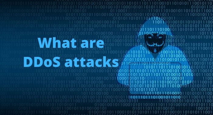 What Are DDoS Attacks And How To Avoid It?